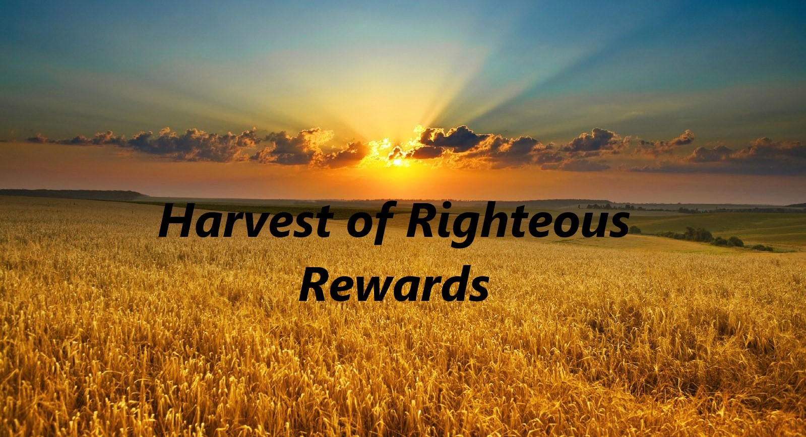 Harvest Of Righteous Rewards – The Soul Sower