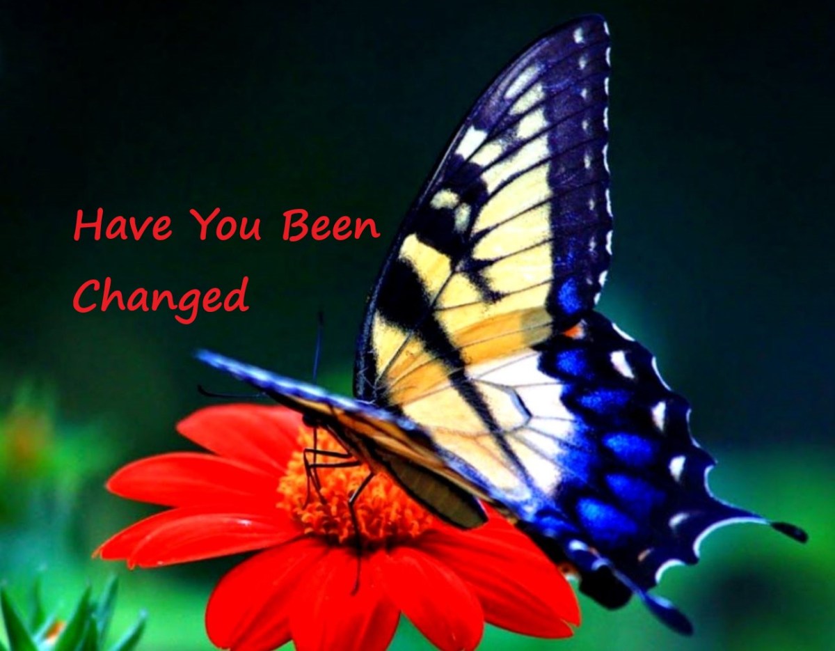 Have You Been Changed – The Soul Sower