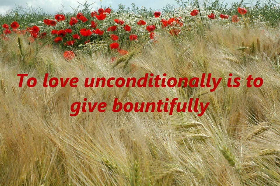 The Bountiful Heart – The Soul Sower