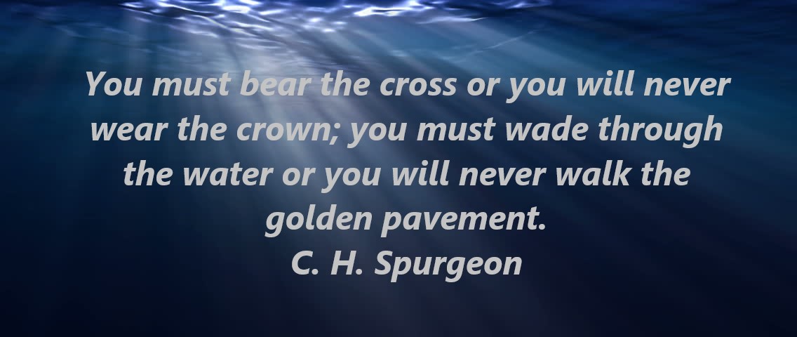 Wade Through The Water – The Soul Sower