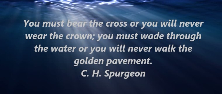 Wade Through The Water – The Soul Sower