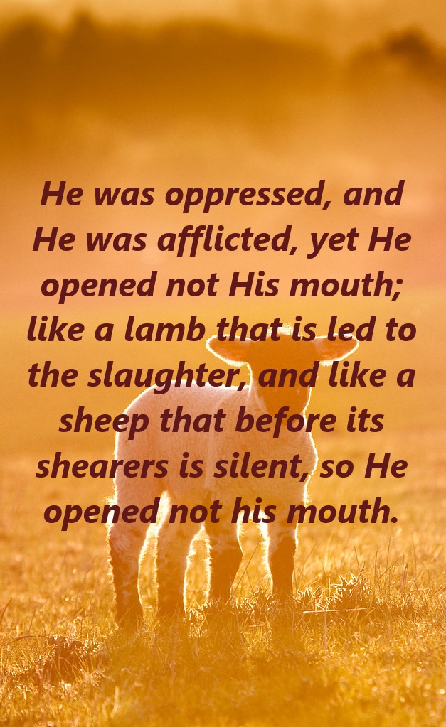 The Lamb Sacrificed For You – The Soul Sower