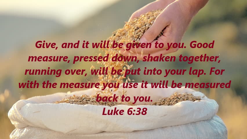 What Will You Give – The Soul Sower