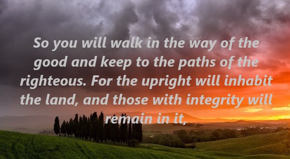 Wisdom, More Precious Than Gold – The Soul Sower