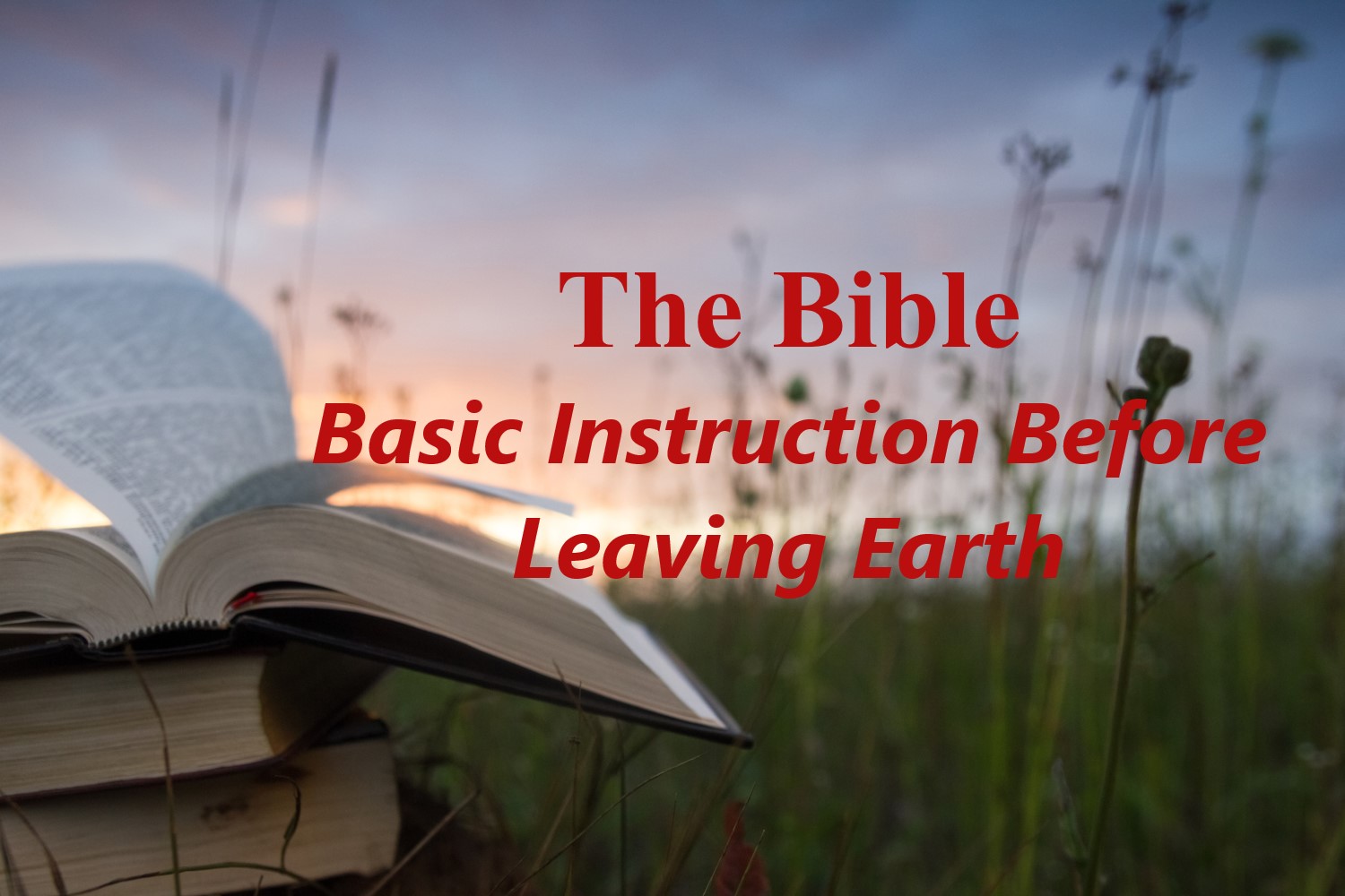 Instruction Book For Life – The Soul Sower