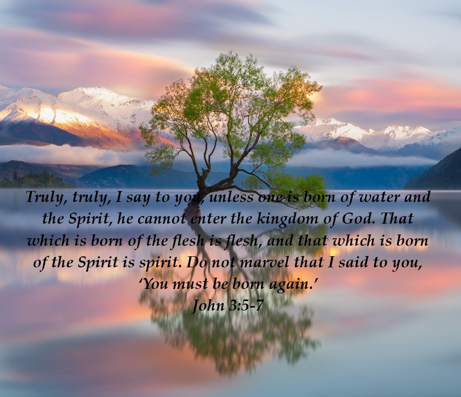 To Be Born Again – The Soul Sower