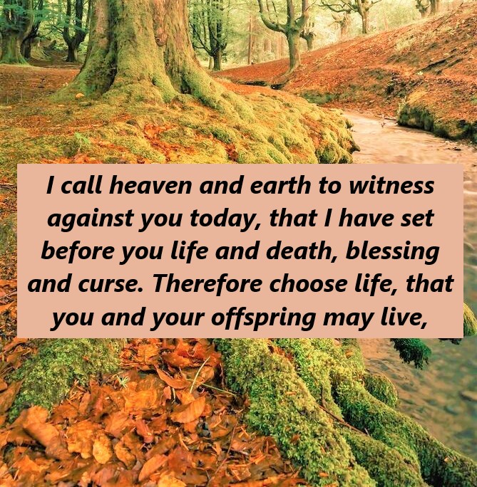 The Path Most Rejected – The Soul Sower