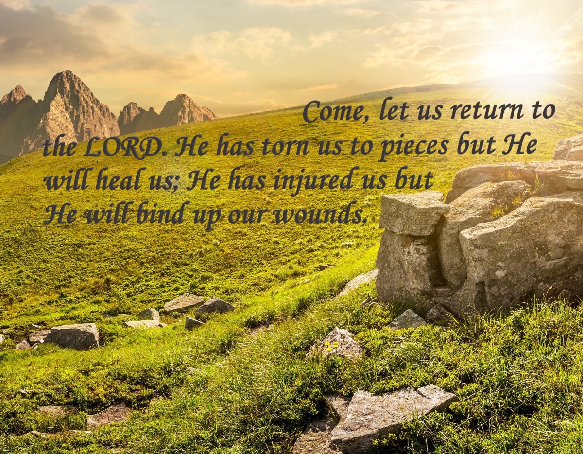 Restored Vessel – The Soul Sower