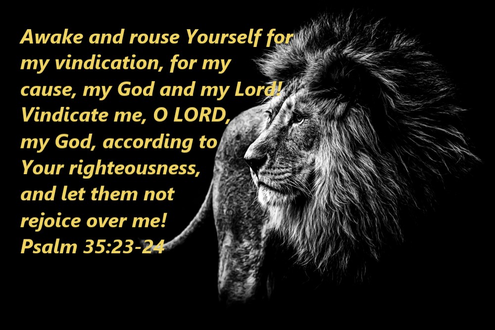 Righteous Vindication – The Soul Sower