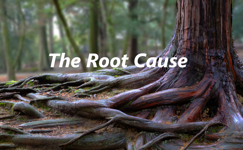 The Root Cause – The Soul Sower