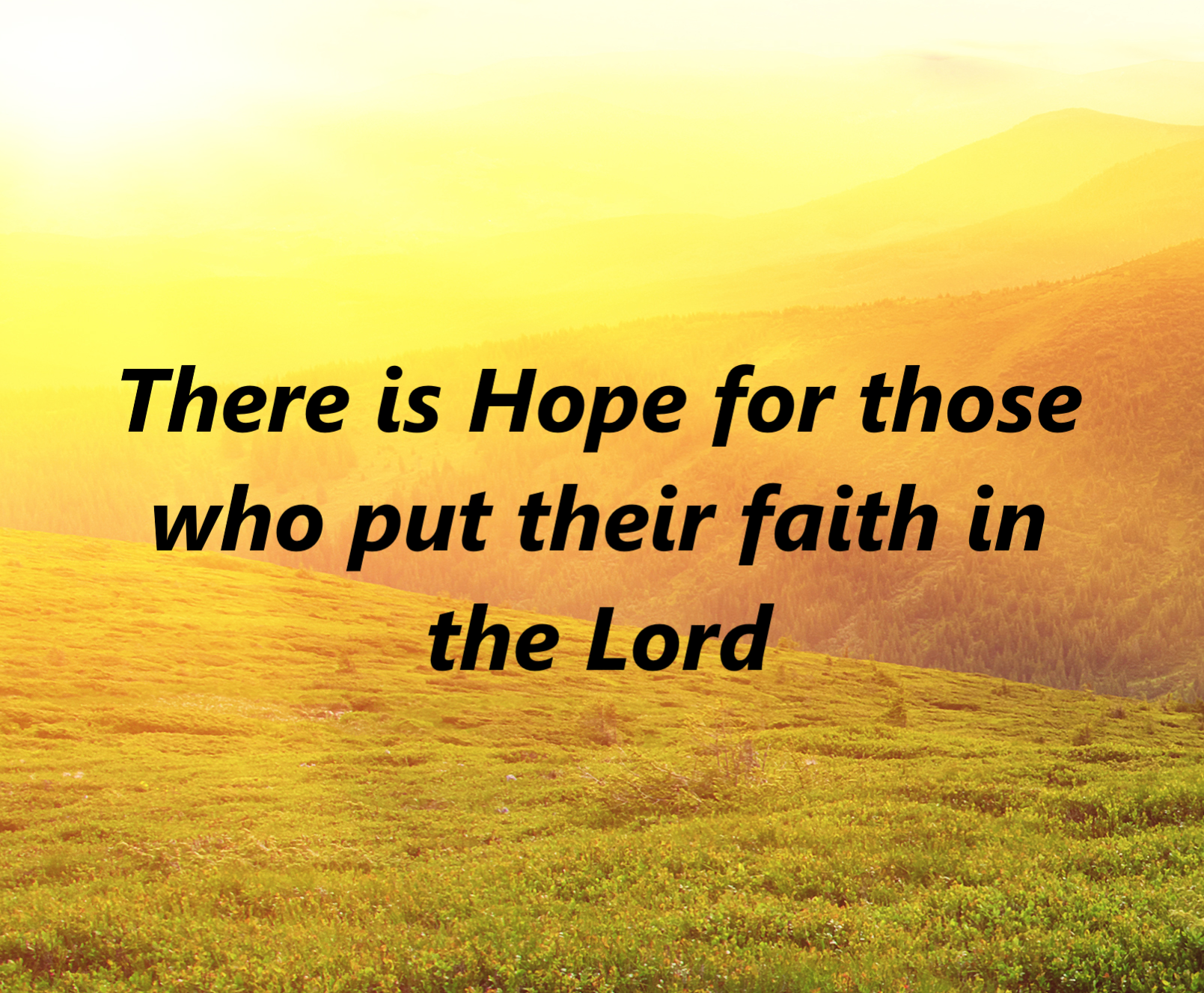 Hope For The Faithful – The Soul Sower