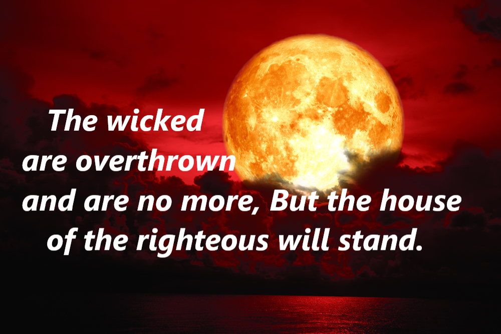 The Wicked Anger God – The Soul Sower