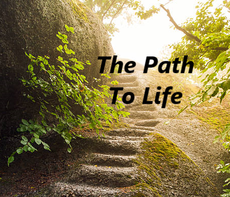 The Path Of Life – The Soul Sower