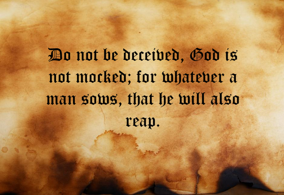 Not Fooling Anyone – The Soul Sower